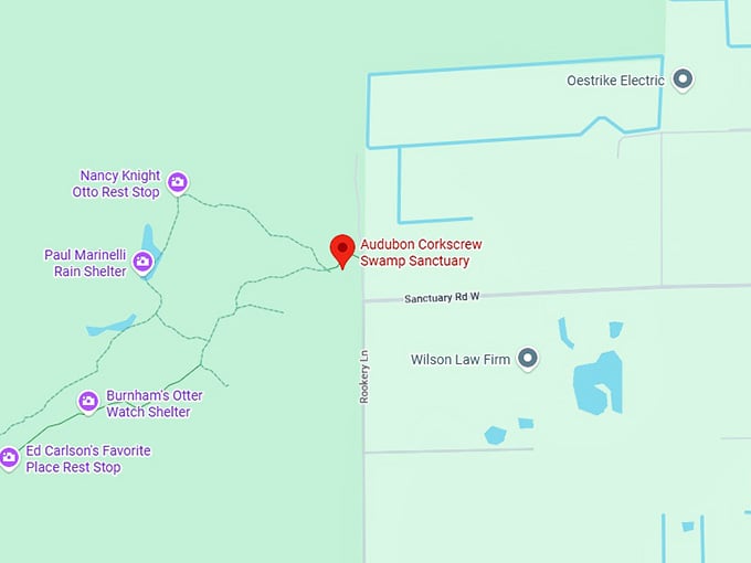 16. audubon corkscrew swamp sanctuary map