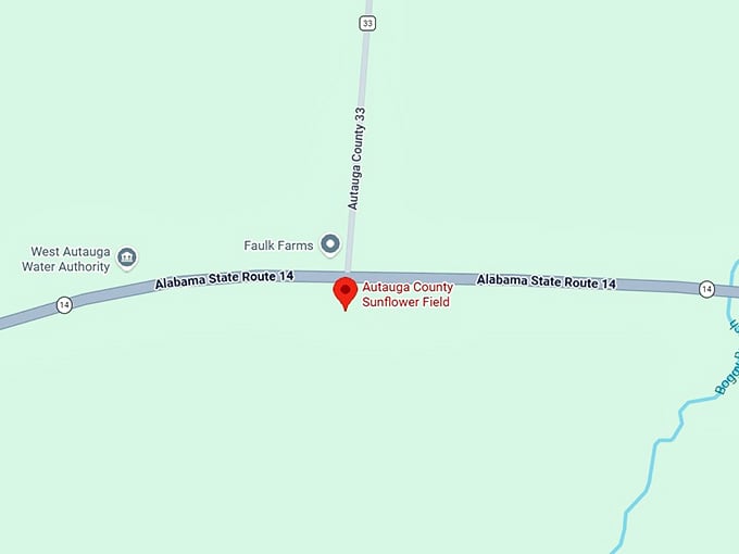 16. autauga county sunflower field map