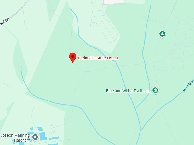 16. cedarville state forest map