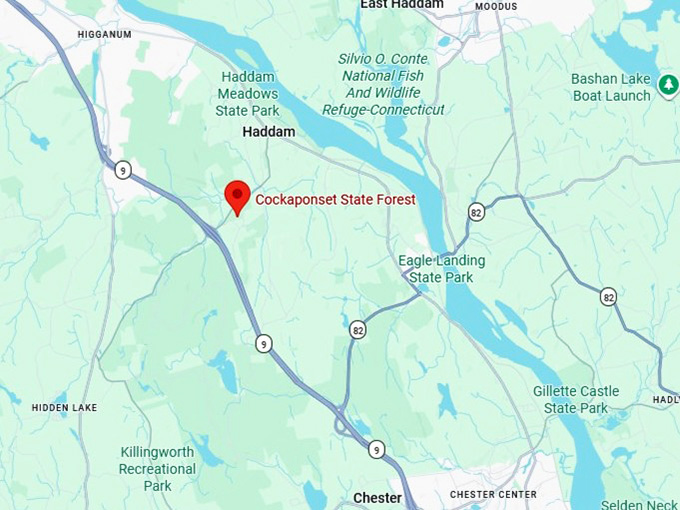 16. cockaponset state forest map