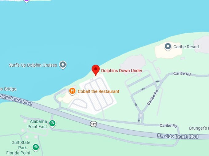 16. dolphins down under map