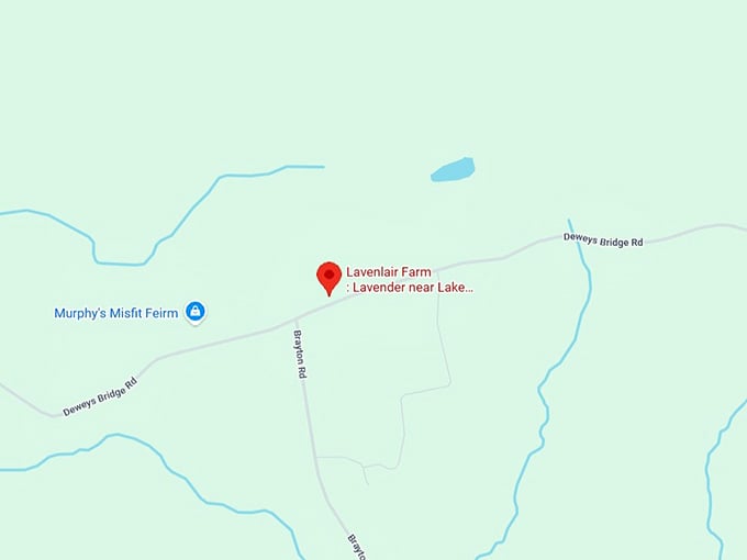16. lavenlair farm lavender near lake george map