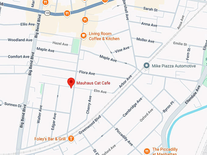 16. mauhaus cat cafe map
