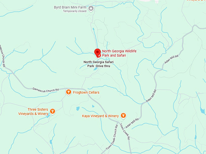 16. north georgia wildlife park and safari map