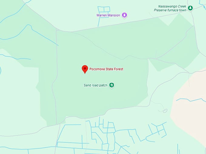 16. pocomoke state forest map