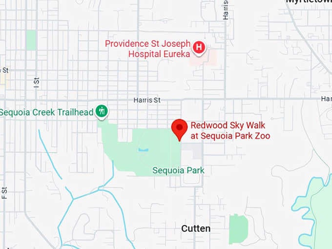 16. redwood sky walk at sequoia park zoo map