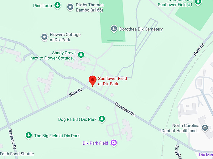16. sunflower field at dix park map