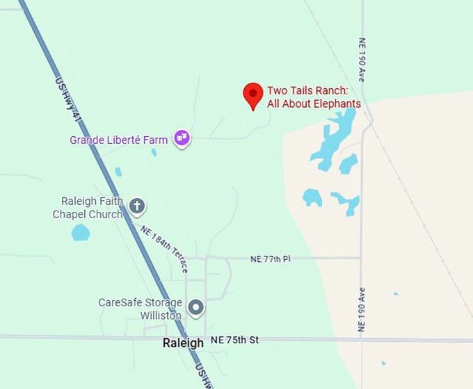 16. two tails ranch all about elephants map