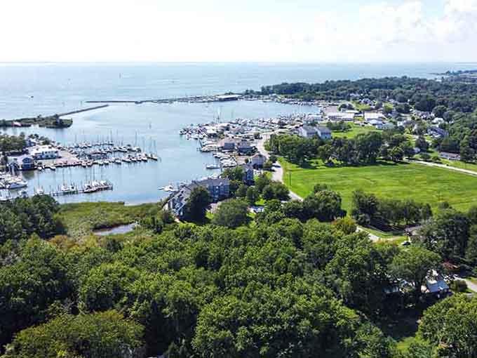 Green trees frame the harbor where sailboats cluster together like old friends catching up over coffee and stories.