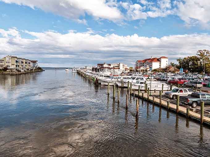 Marina docks line up neat as soldiers while the bay stretches wide, offering endless possibilities for adventure and discovery.