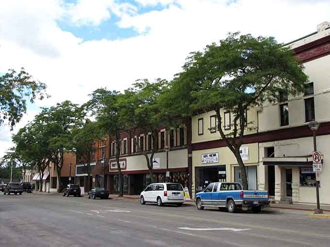 Those towering trees shading Alma's historic downtown create a canopy that's been cooling shoppers for generations.