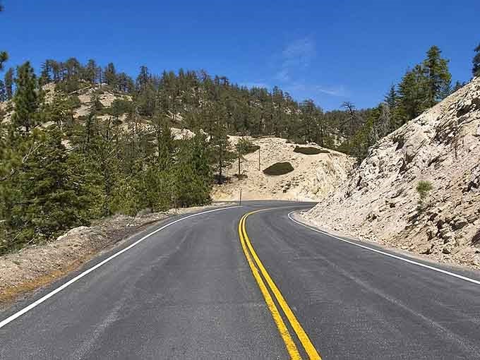 Those sandstone cliffs frame the highway like nature's own cathedral, inviting you into mountain majesty ahead.