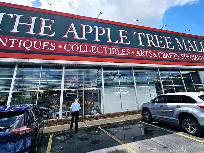 That bold red signage promises antiques, collectibles, and crafts—basically everything your garage wishes it could be.