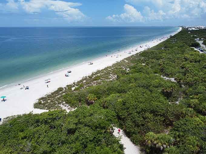 Nature's green curtain meets powder-white sand where the Gulf whispers secrets only locals know.
