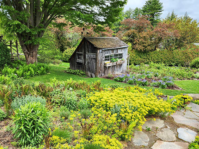 Look at this rustic garden shed nestled among golden blooms like a scene from a Hallmark movie.