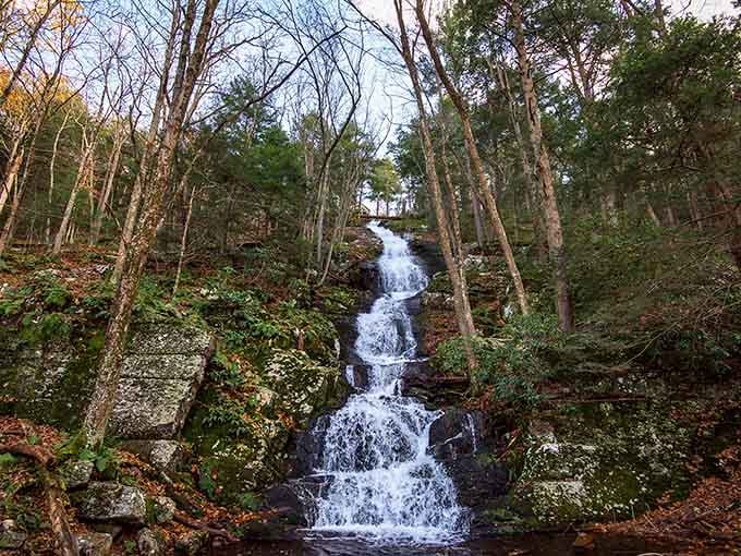 Nature's staircase tumbles through the forest, each tier more enchanting than the last in this woodland wonder.