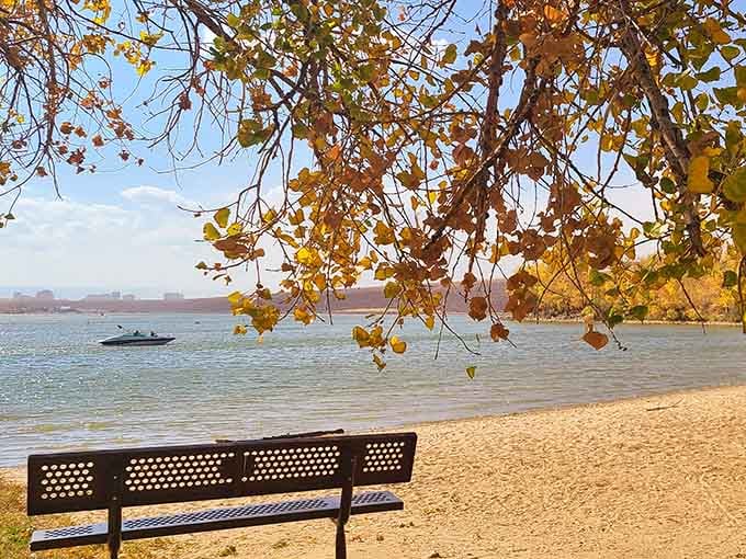 Golden autumn leaves frame this sandy shoreline like nature's own picture window&mdash;pure lakeside perfection.