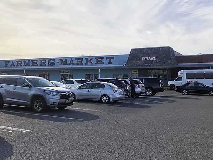 That packed parking lot tells you everything: this sprawling market draws serious treasure hunters every single weekend.