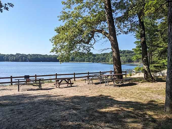 Morning light filters through the trees at this peaceful lakeside retreat where time slows down naturally.
