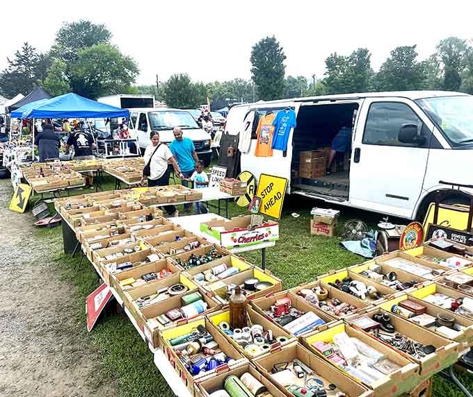 Rows of cardboard treasure boxes spread across the grass like an outdoor museum of forgotten memories.
