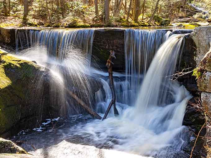 Sunlight catches every droplet as water cascades over moss-covered rocks in this enchanting forest sanctuary.