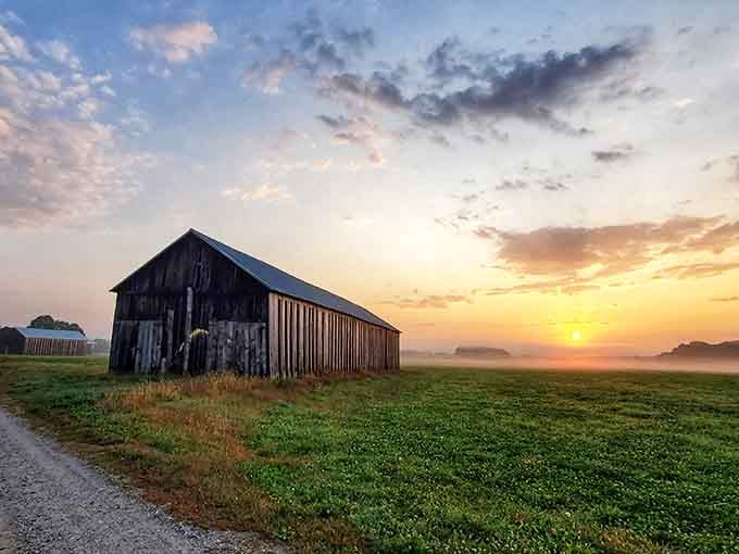 Golden hour transforms this weathered barn into a masterpiece that would make Andrew Wyeth reach for his brushes.