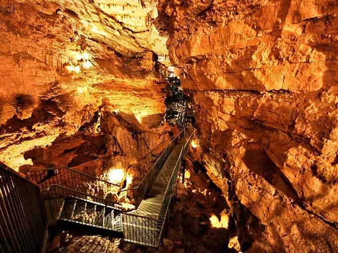 Golden limestone chambers glow like a cathedral built by time itself, complete with nature's own dramatic lighting design.