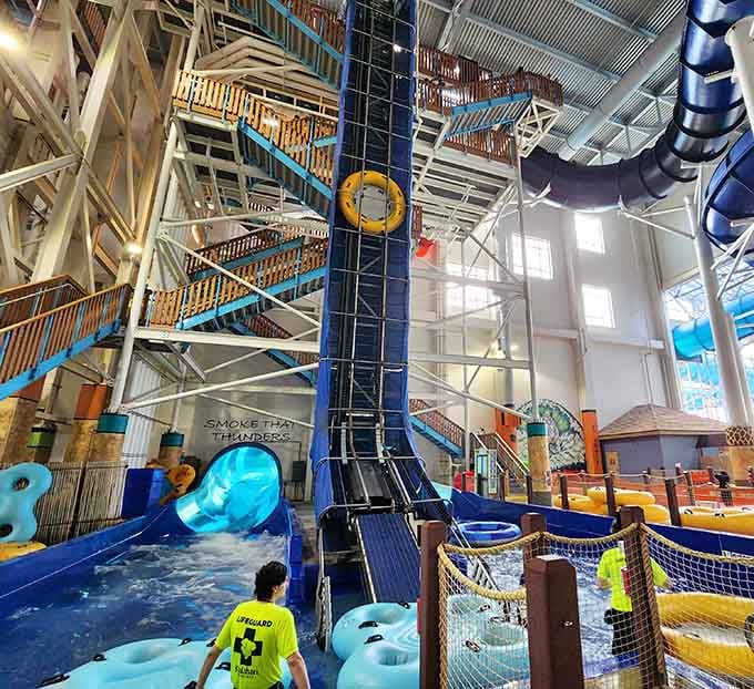 Look up and marvel at this towering indoor water wonderland where slides twist like colorful spaghetti.