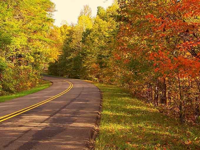 Mother Nature showing off her entire paint collection on one winding mountain road that begs for a slow cruise.