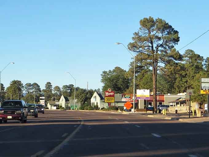 Pine trees tower over this quiet main street where the desert finally admits defeat and mountains win.