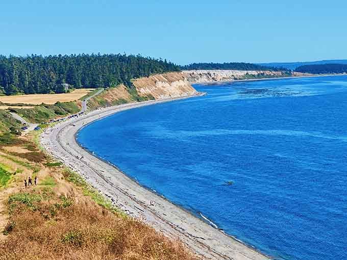 Look at that sweeping curve of coastline where golden bluffs meet impossibly blue water&mdash;pure Pacific Northwest magic.