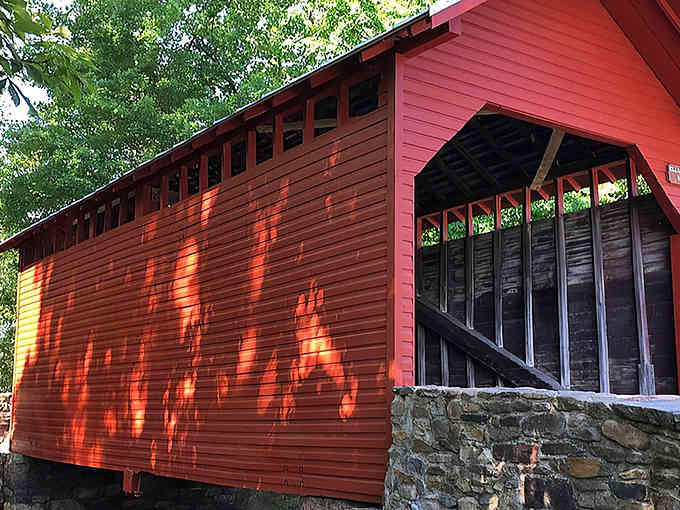 Golden hour turns this red beauty into a masterpiece, with sunlight dancing across weathered wood like nature's spotlight.
