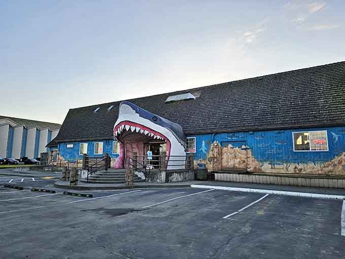 Walking through a giant shark's mouth never looked so inviting—this ocean-blue building makes quite the entrance statement.