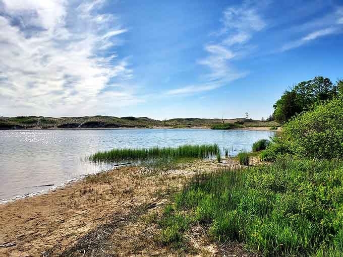 Where golden sand meets emerald grasses, this quiet shoreline whispers secrets that only patient wanderers discover.