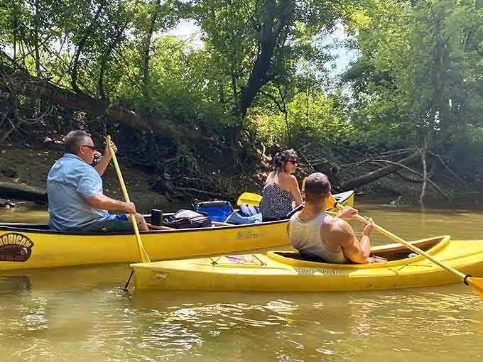 Yellow kayaks glide through golden water like butter melting on warm toast, pure summer perfection.