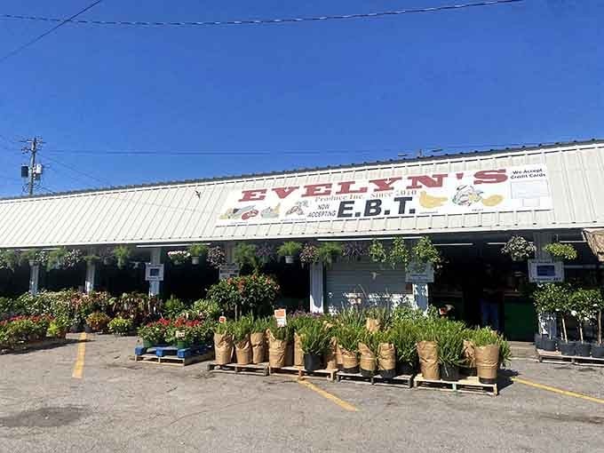 That cheerful awning and those hanging baskets are basically shouting "come spend all your money on plants!"