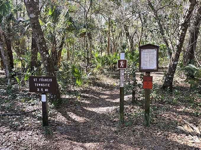 Your journey to Florida's forgotten past begins right here, where the trail whispers stories of vanished communities.