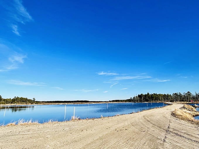 Sandy shores meet crystal-clear cranberry reservoirs where New Jersey's agricultural heritage comes beautifully alive.