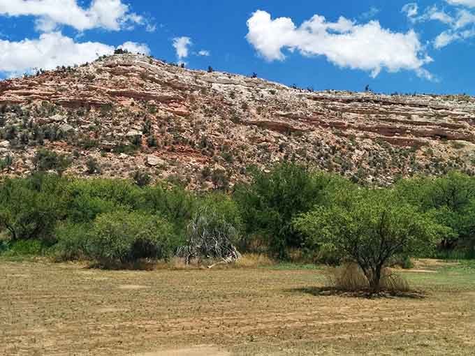 Layered red rock formations meet unexpected greenery in this Verde Valley surprise that defies every Arizona stereotype.