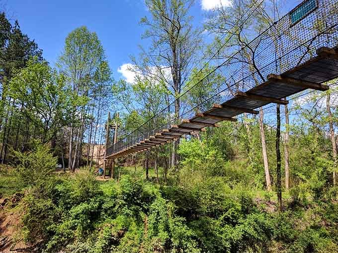 That suspension bridge stretching into the forest canopy is your invitation to adventure in Lancaster County.