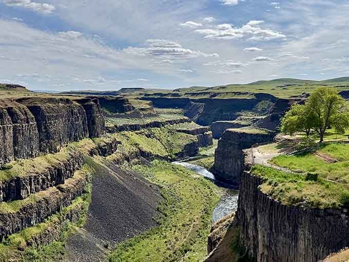 Those layered canyon walls stretch for miles, looking like nature's own layered cake. Minus the frosting.