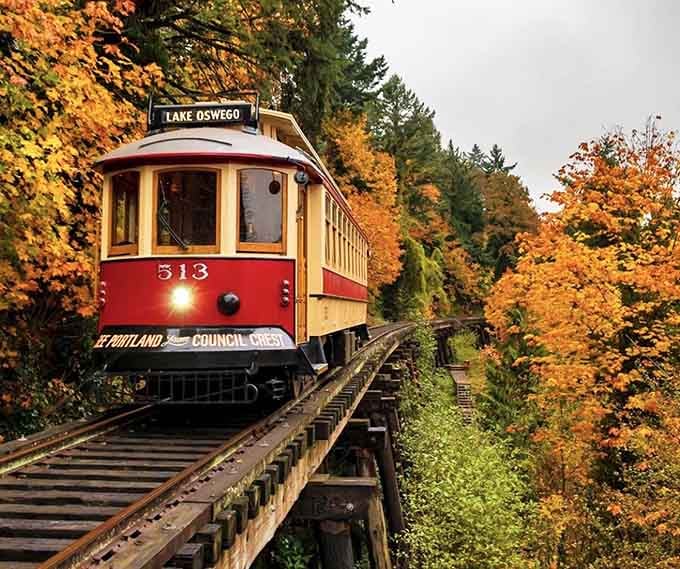 That crimson trolley gliding through autumn's golden tunnel looks like a Norman Rockwell painting come to life.