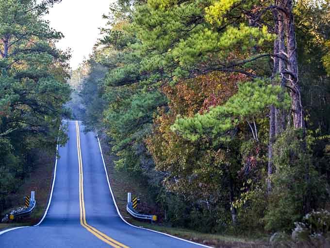 This rolling ribbon of asphalt dips and climbs through towering trees like a gentle roller coaster ride.
