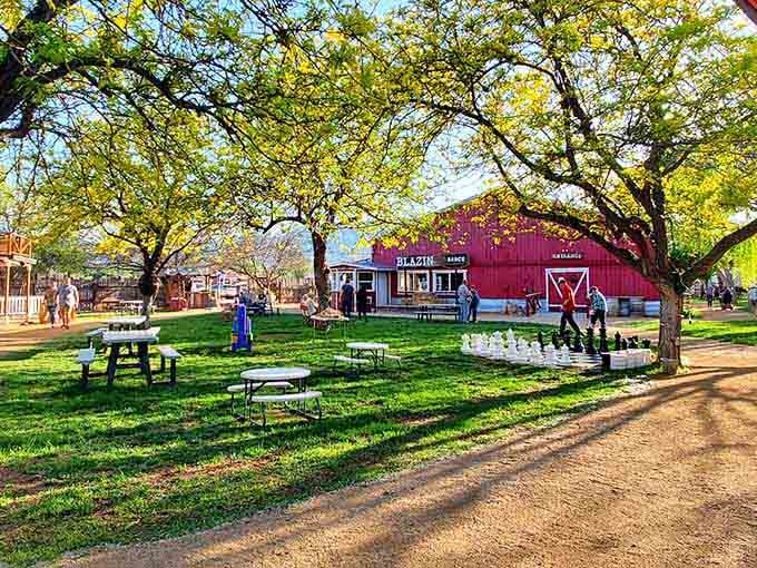 Giant chess under shady trees proves cowboys knew how to strategize between meals and entertainment.
