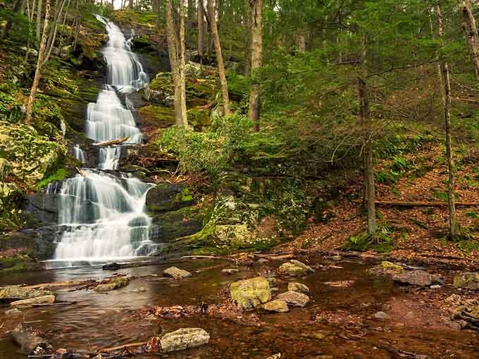 Golden rocks frame cascading water like a natural picture frame, proving Mother Nature's got serious decorating skills.