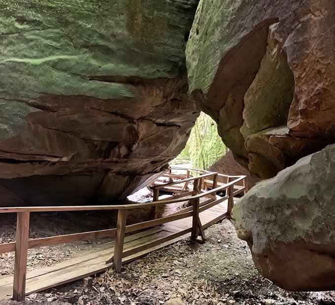 Nature carved this cathedral from solid rock, complete with wooden pews and a ceiling that's been standing for millennia.