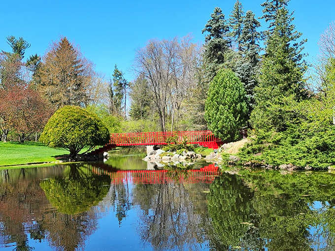 When the water mirrors this scarlet bridge perfectly, you've found nature's own double feature worth the admission price.