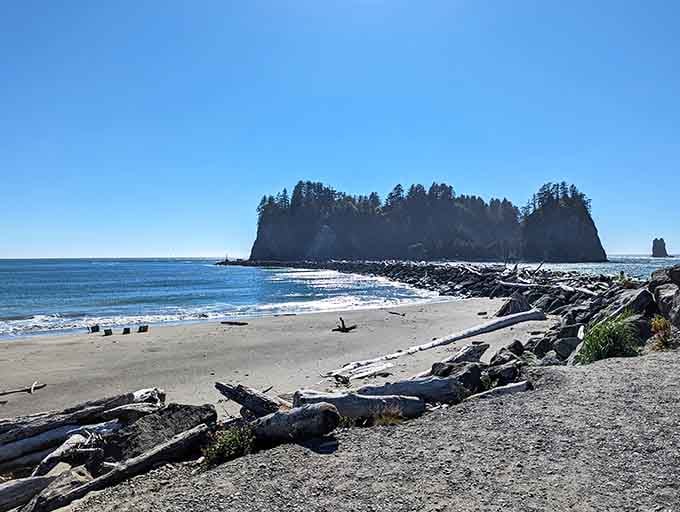 Driftwood-strewn shores and tree-topped islands create a scene straight out of a Pacific Northwest postcard.