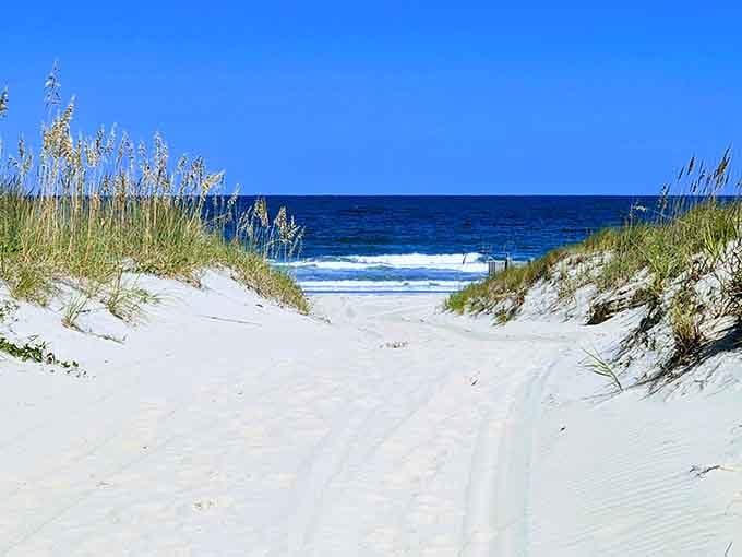 Sandy dunes frame pristine beach where golden grasses dance in ocean breezes, untouched and magnificent.