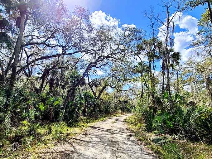 Sandy paths wind through ancient forests, inviting you deeper into a world where time moves differently.